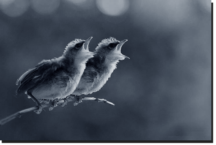 Exclusive Evil - Fun Uses for Your Old Body