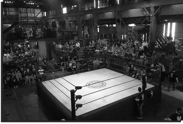 Exclusive Evil - Fight Night